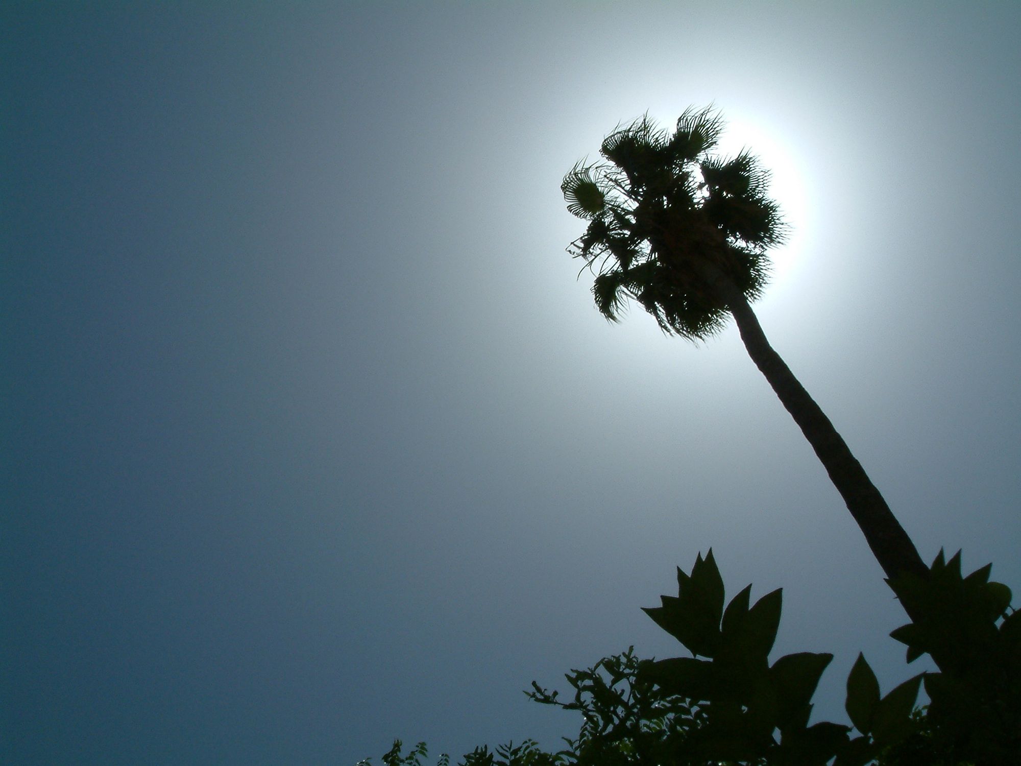 Inside the AS3 Date class: The constructor